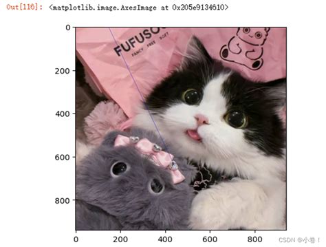 Skimage图像处理（六）from Skimage Import Draw Csdn博客