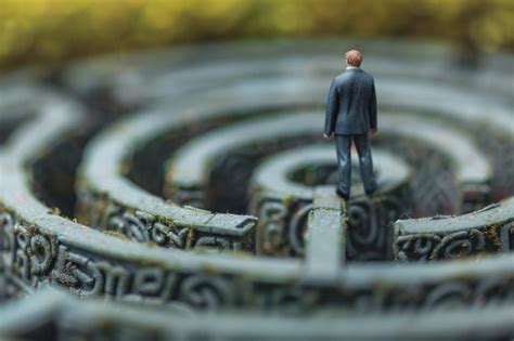 Decision Making The Brains Blueprint For Future Insights Neuroscience News