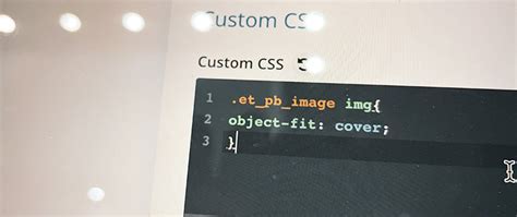 Setting Object Fit In Divi Image Module Dev Community