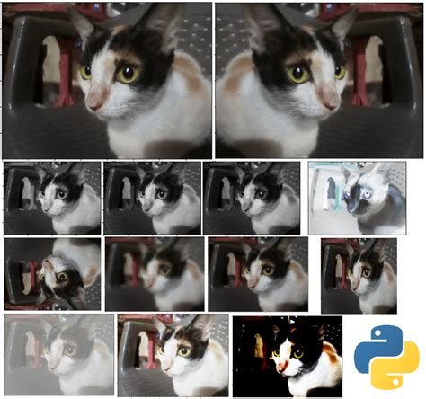 Manipulating Images In Python Without Using External Libraries Rpython