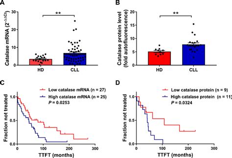 Cat Expression Level And Its Association With Ttft In Cll Acat Mrna Download Scientific