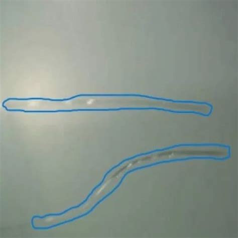 Machine Vision System For Defect Detection For Industrial At ₹ 120000