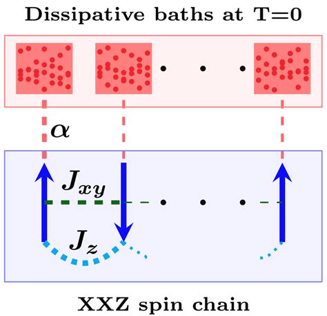 Schematic Representation Of The Microscopic System An One Dimensional Download Scientific