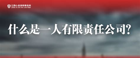 一人有限责任公司的债务风险 知乎