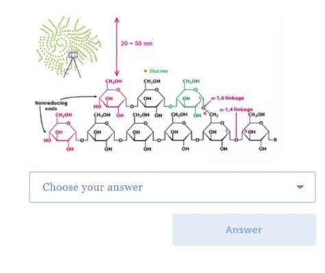 Solved CH₂OH H Н OH H H HO O HỎ H OH OH H The image shown Chegg com