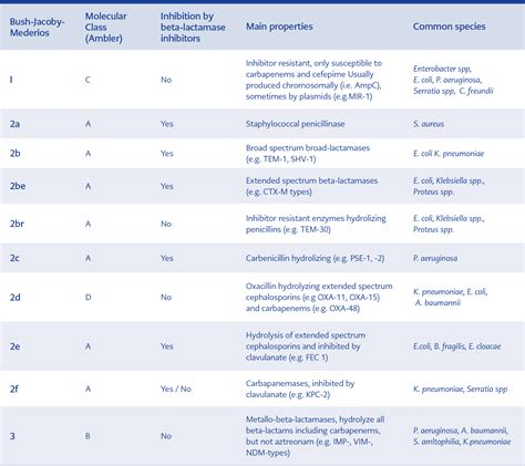 Oral Beta Lactams For Osteomyelitis At Gladys Roy Blog