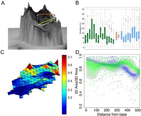 Comparison Of Euclidean And Geodesic Distances A 3d Reconstruction Of Download Scientific