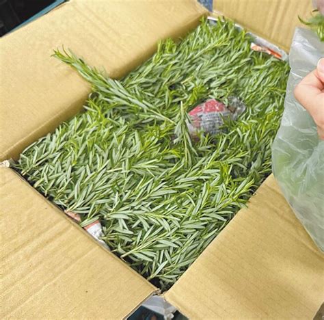 市售蔬果1成殘留農藥 必比登名店踩雷 生活新聞 中國時報
