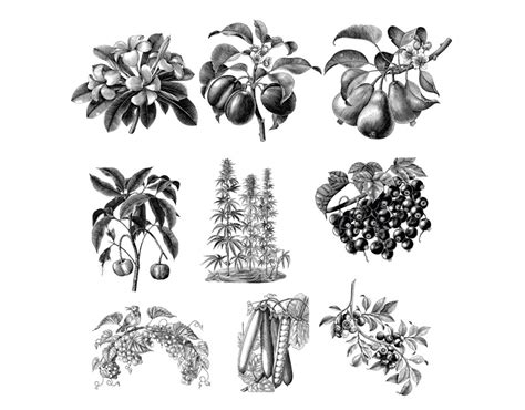 Certificate On Behance