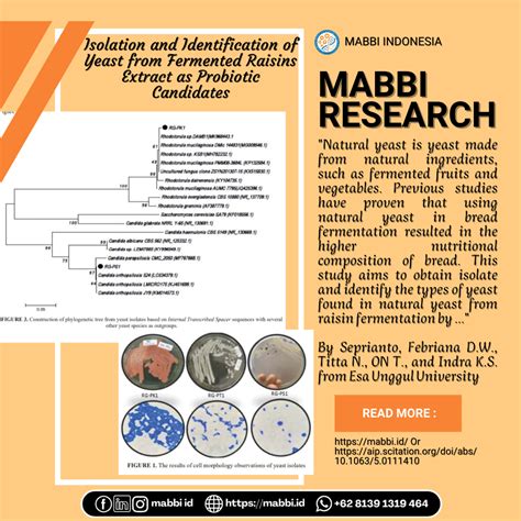 Isolation And Identification Of Yeast From Fermented Raisins Extract As