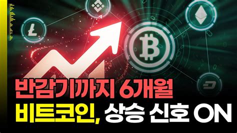비트코인반감기 전 마지막 매집 기회 전략은 이렇게 세우세요 Youtube