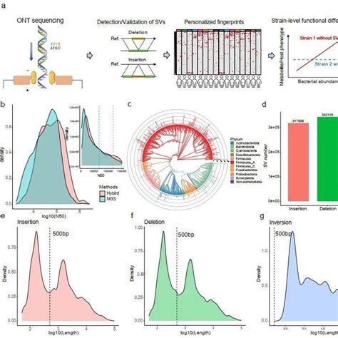 Nature子刊：微生物所王军研究组结合三代测序合作解析肠道菌群结构变异和功能组装alet