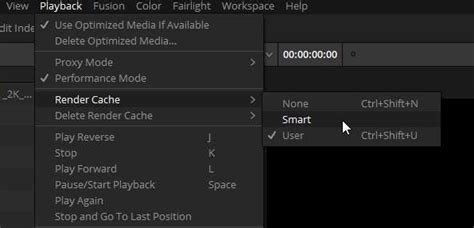 5 Best Solutions To Fix Slow Playback Issues In Davinci Resolve