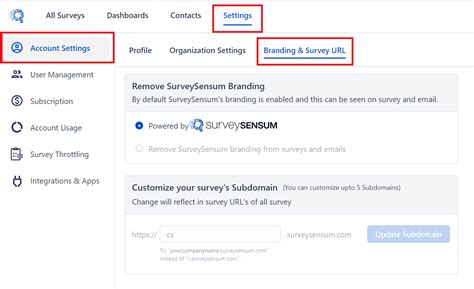 How To Use Custom Urls For Effective Surveys