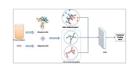 Proaffinity Gnn A Novel Approach To Structure Based Proteinprotein