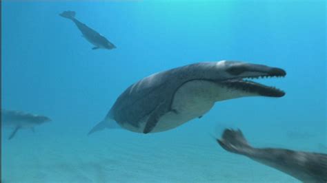 Basilosaurus  At Nicholas Erwin Blog Free Word Template