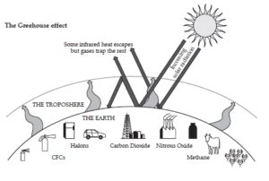 Waste Management ICSE Class Geography Notes