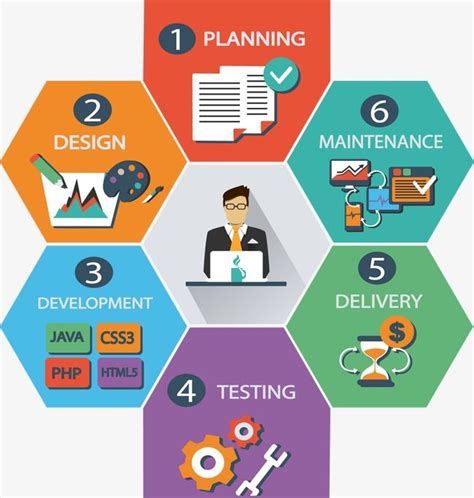 Web Develop PNG Picture Web Development Flowchart Flat Classification And Labelling Business