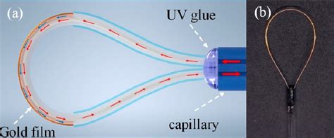 Figure 1 From Fiber Optic Vector Magnetic Field Sensor Based On Gold Clad Bent Multimode Fiber