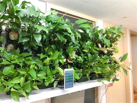 사무실 벽결이형 수직정원 세상을 바꾸는 농장 세바팜