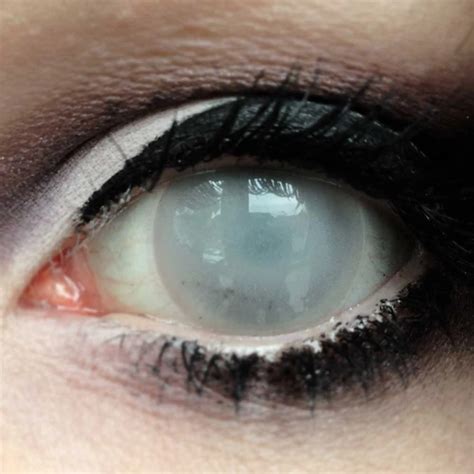 Eyes White Eyes At Jack Steve Blog