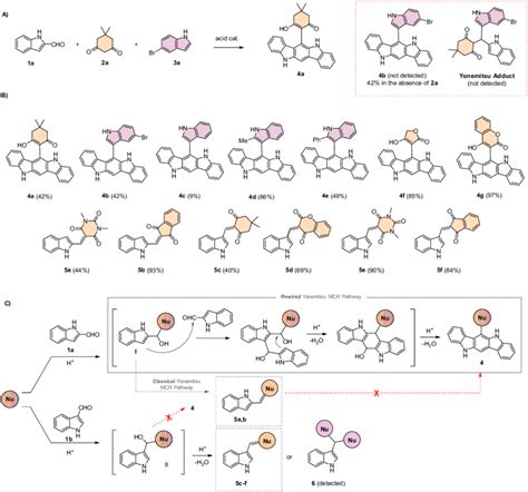 A The Initial Experimental Observations B Scope Of The Reaction