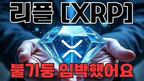 리플 불기둥이 진짜 임박했습니다 리플보유자분들 모두 박수주세요리플 리플코인 리플전망 Xrp 리플전망 암호화폐 Youtube