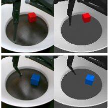 Each Pair Shows A Real World Image Input Left And Its Download Scientific Diagram
