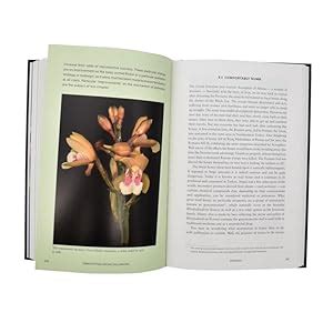 Demystifying Orchid Pollination Stories Of Sex Lies And Obsession Karremans Adam P