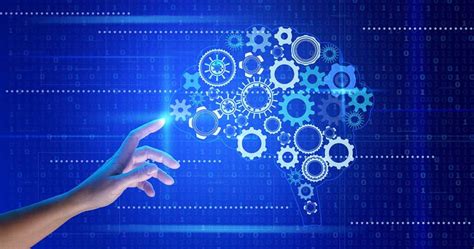 Extinction Psychology Understanding Key Concepts Clearly