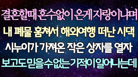 반전 사연 결혼할때 혼수없이 온게 자랑이냐며 내 폐물 훔쳐서 해외여행 떠난 시댁 시누이가 가져온 작은 상자를 열자 보고도