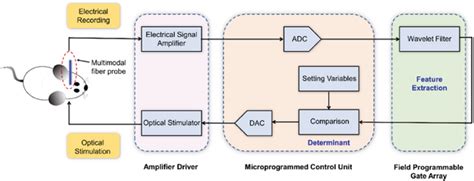 Design And Principle Of The Closed‐loop Optogenetic Modulation System Download Scientific