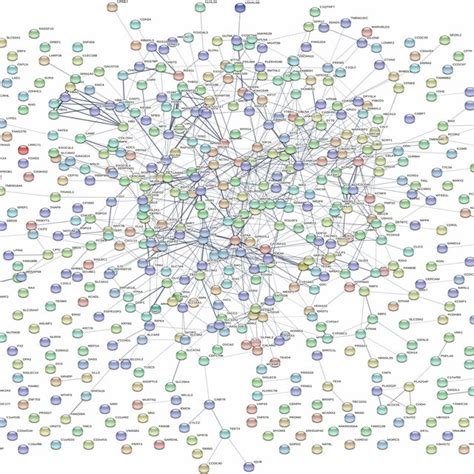 Protein Interaction Networks Of Differentially Expressed Genes Download Scientific Diagram