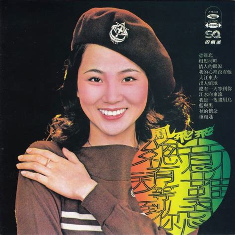 凤飞飞 意难忘 1976 复刻版 海山唱片 Wavcue整轨387m 乐海拾贝