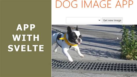 How To Create A Simple Application With Svelte Youtube