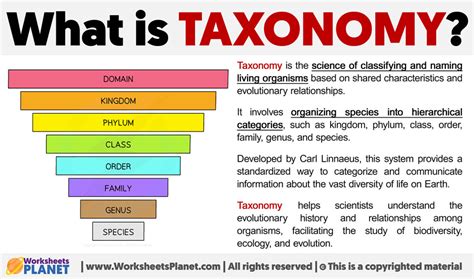 Taxonomy Classification