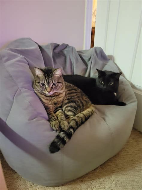 Void Why Cant I Get A Moments Rest Alone Lolll Rbondedpairs