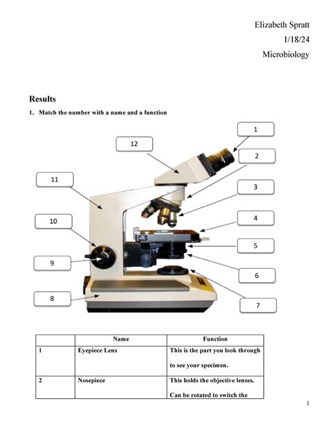 Lab Microscope Analysis Elizabeth Spratt 1 18 Microbiology Results 1 Match The Number With A