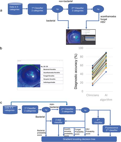 Architecture Of Deep Learning Dl Algorithm To Determine The Causative