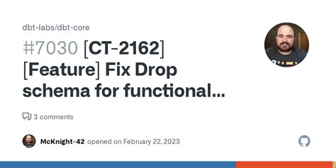 [ct 2162] [feature] fix drop schema for functional tests to take into