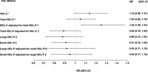 12 Ldl C Calculation Yoseufhaleigh