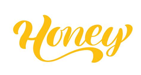 꿀 서예 문자 텍스트 흰색 배경에 격리 된 검은 색으로 벡터 꿀벌 손 문자 단어 로고 카드 타이포그래피 포스터 인쇄용 컨셉 꿀에