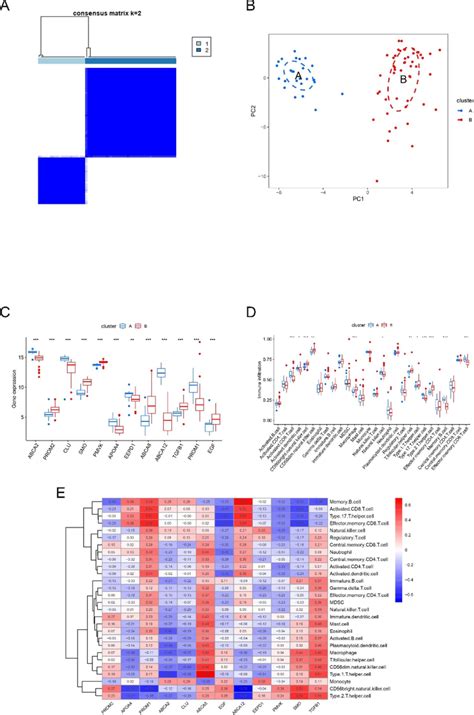 Identification Of Subtypes Of Nonfunctioning Pituitary Neuroendocrine