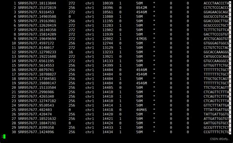 Rna Seq——三、使用hisat2进行序列比对hisat2与count如何选择人类基因组序列比对文件 Csdn博客