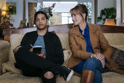 Harry Wild Investigates Release Date Cast Trailer Plot What To Watch