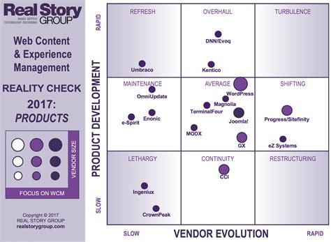 2017 WCM Marketplace Overview Real Story Group