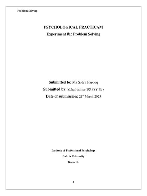 Practicum Problem Solving Report Final Pdf Pdf Thought Decision Making