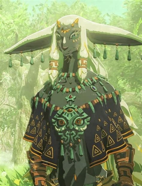 Rauru Totk In 2023 Legend Of Zelda Zelda Funny Legend