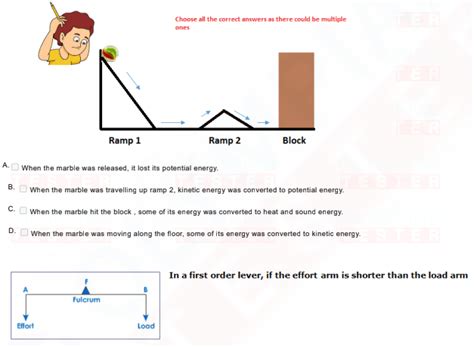 Cbse Class 6 Science Hots Questions Pdf Olympiad Tester