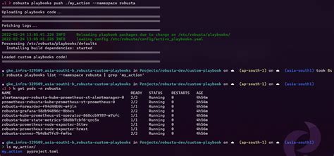 Playbooks Pushed To Namespace Other Than Default Are Not Present In `robusta Playbooks List